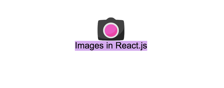 How To Add Images In React Js Reactgo
